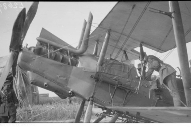 Royal Aircraft Factory R.E.8 - AFC | Warbirds Online