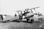 Airco DH.5 Scout | Warbirds Online