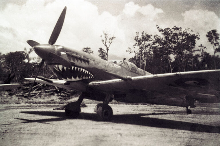 Warbird Photos WWII | Warbirds Online